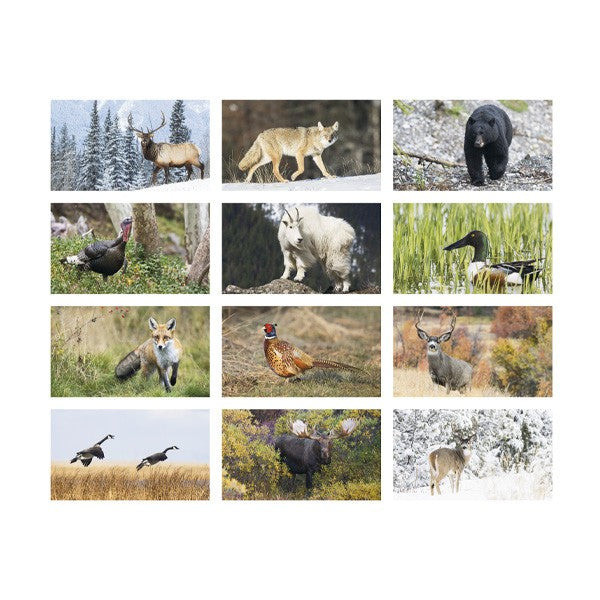 Custom North American Wildlife Calendar (Q665722) - Wall Calendars with ...