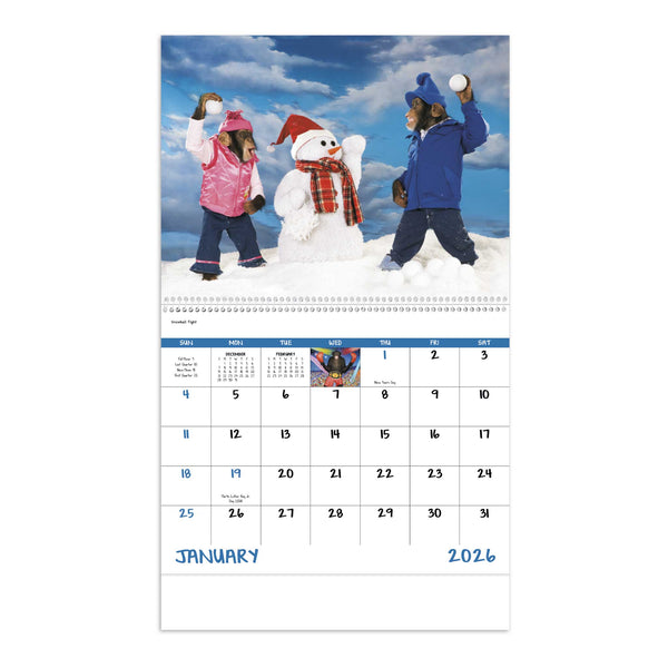 Custom Monkey Mischief - Spiral Calendar (Q905722) - Wall Calendars ...