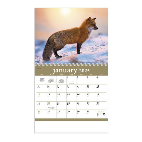 Custom North American Wildlife Calendar (Q155722) - Wall Calendars with ...