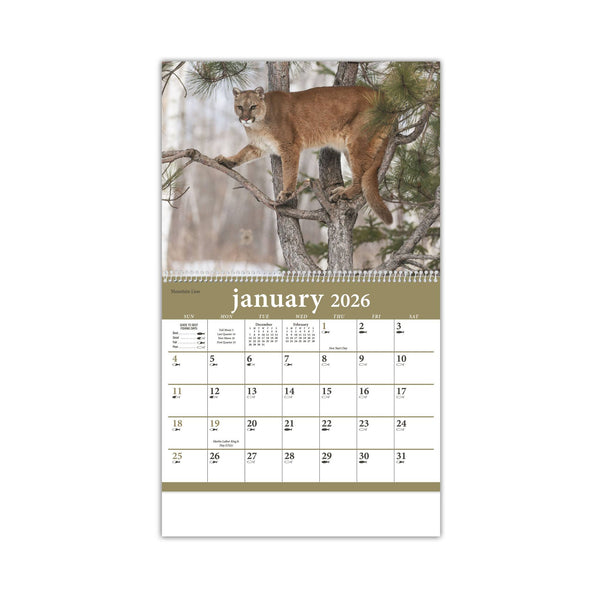 Custom North American Wildlife Calendar (Q155722) - Wall Calendars with ...
