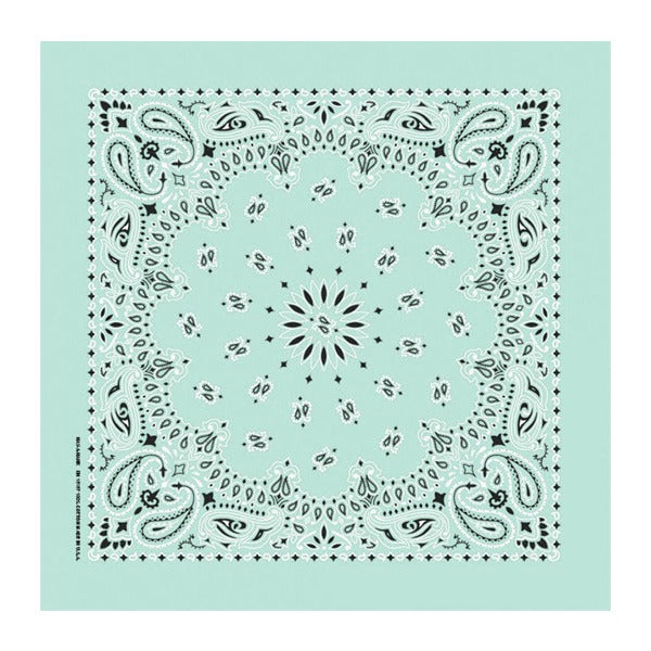 Custom 22 In Traditional USA Paisleys Bandana - Mint (Q736522 ...