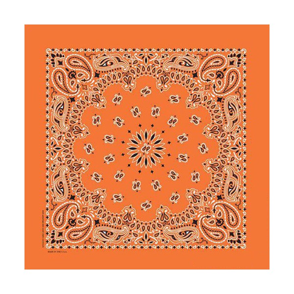 Custom 22 In Traditional USA Paisleys Bandana - Orange (Q806522 ...